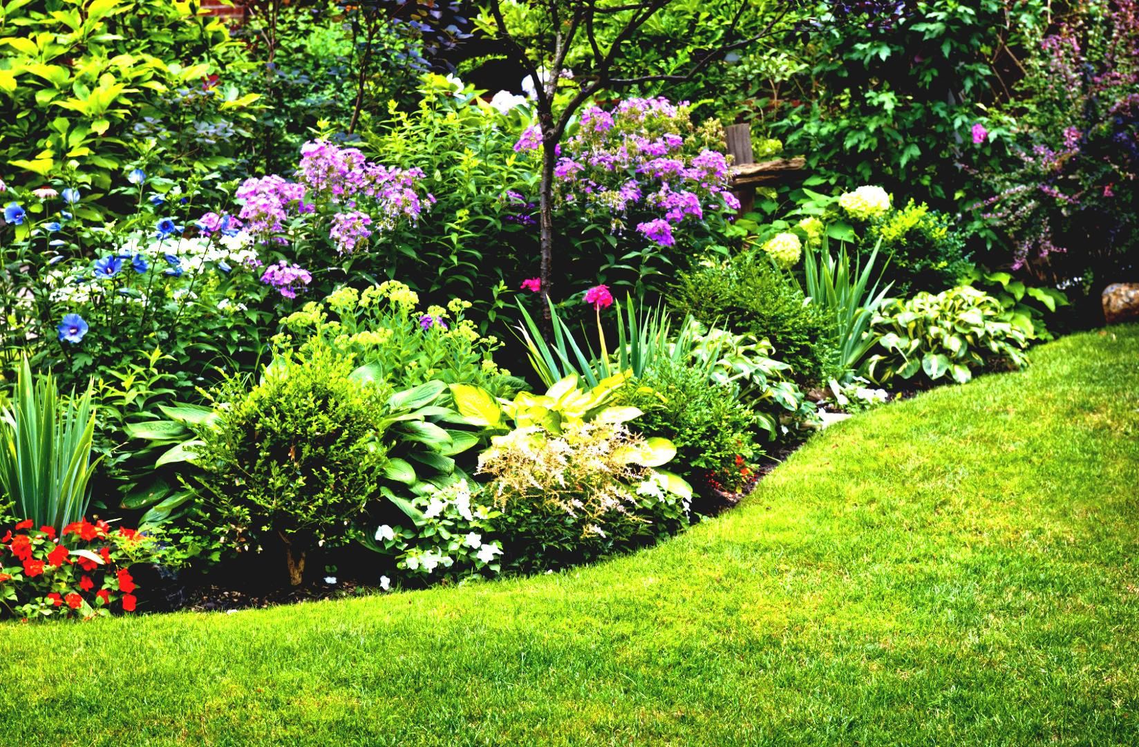 Landscaping Ideas For Full Sun Backyard Image To U Landscaping Ideas For Full Sun Backyard Image To U